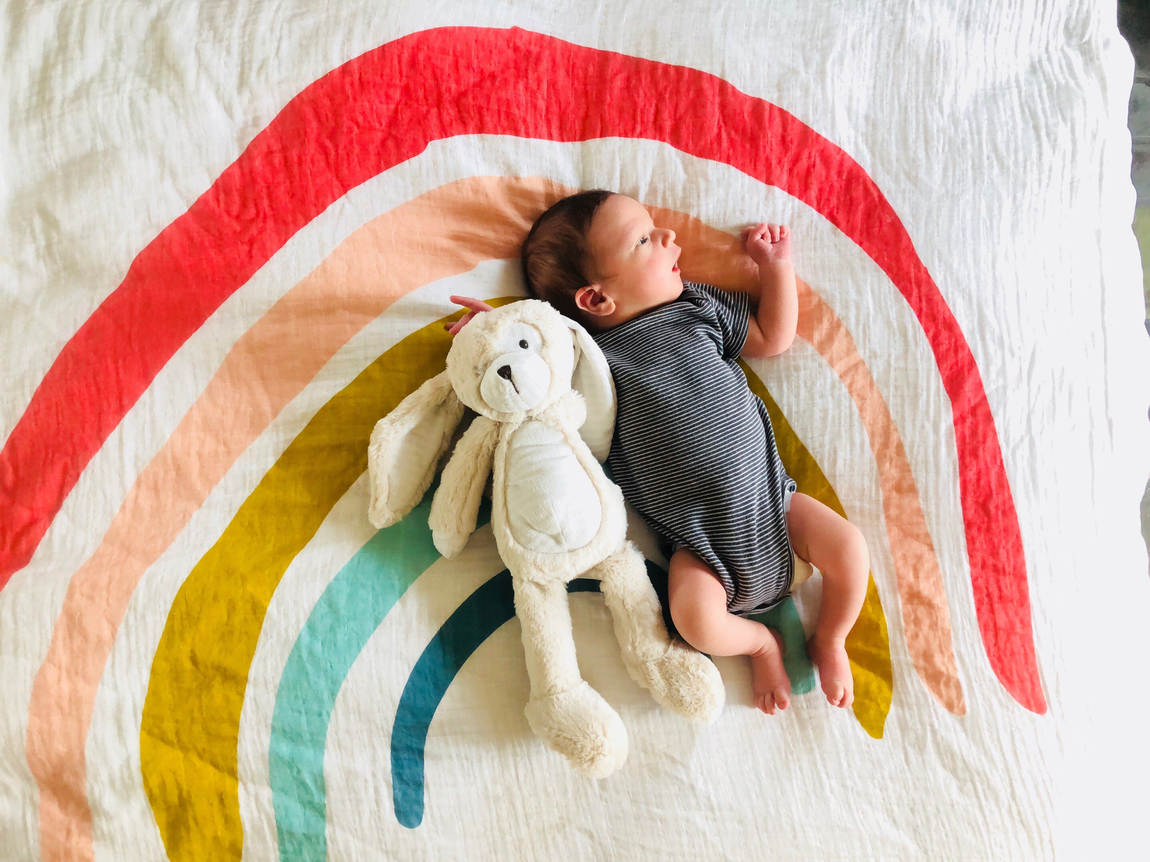 All Products – TOYCYCLE