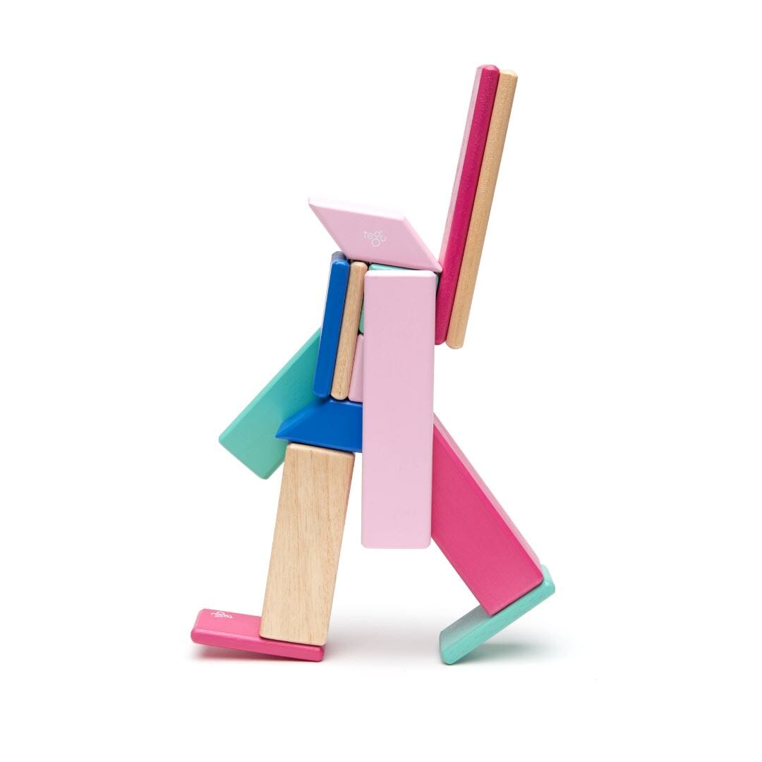 Tegu Magnetic Blocks – TOYCYCLE