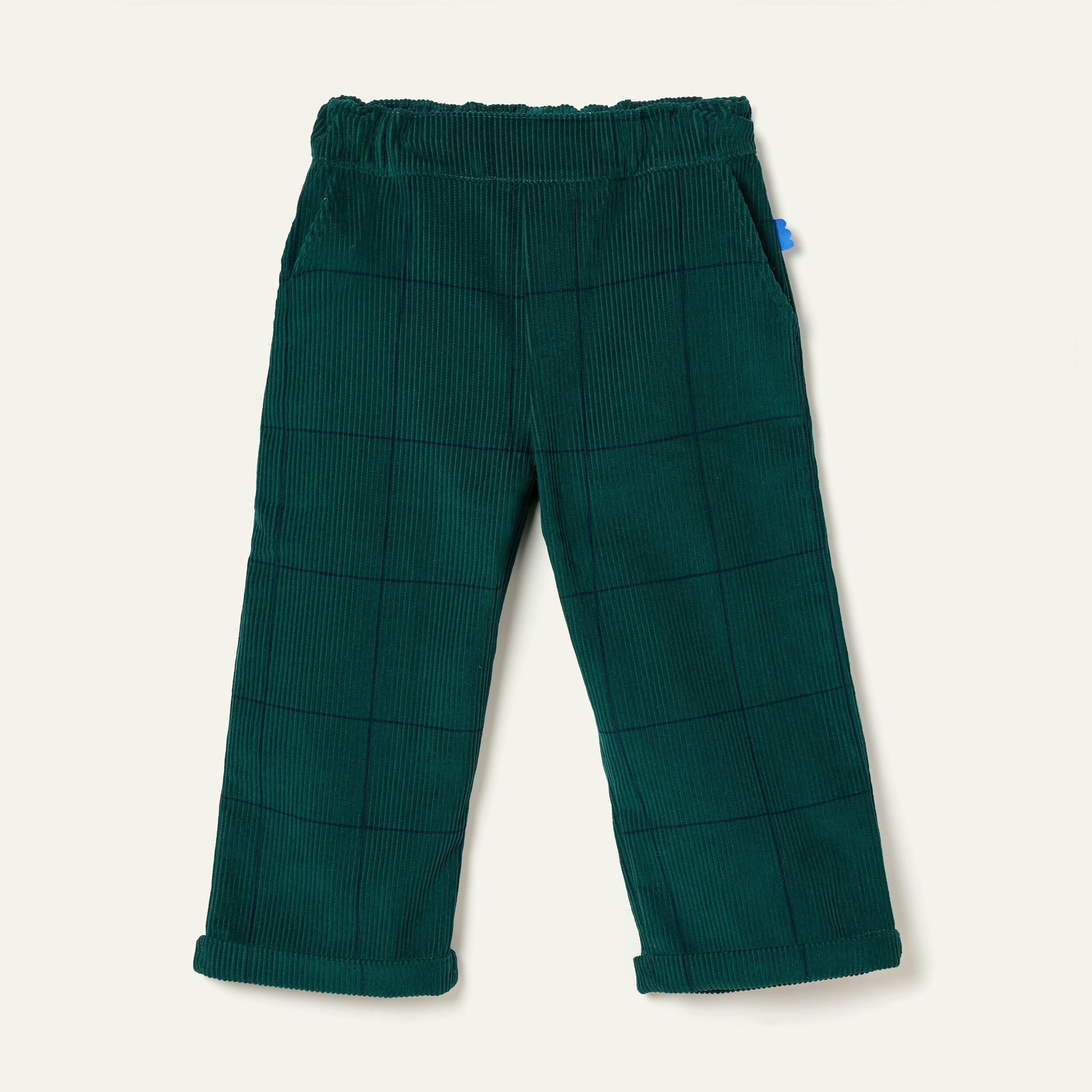 Recycled Cotton Evergreen Grid Corduroy Pant – TOYCYCLE