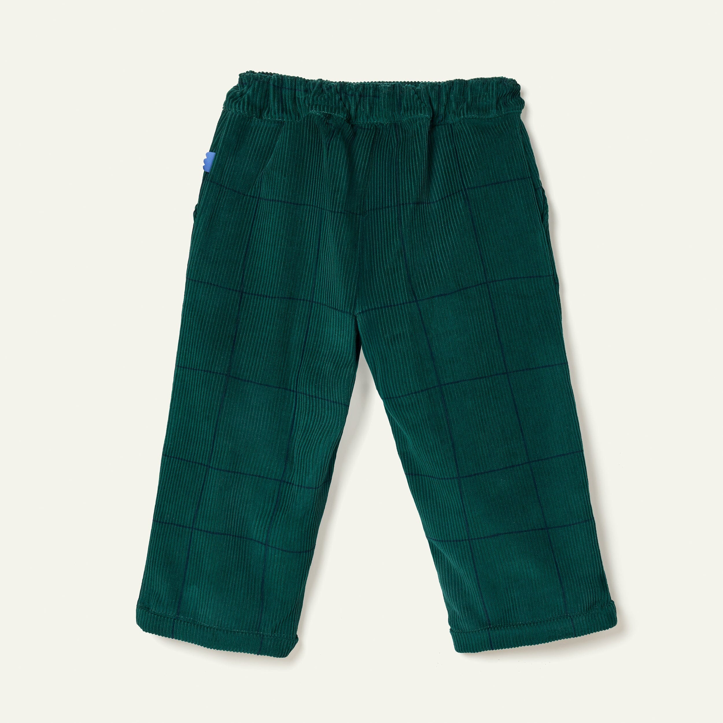 Recycled Cotton Evergreen Grid Corduroy Pant – TOYCYCLE