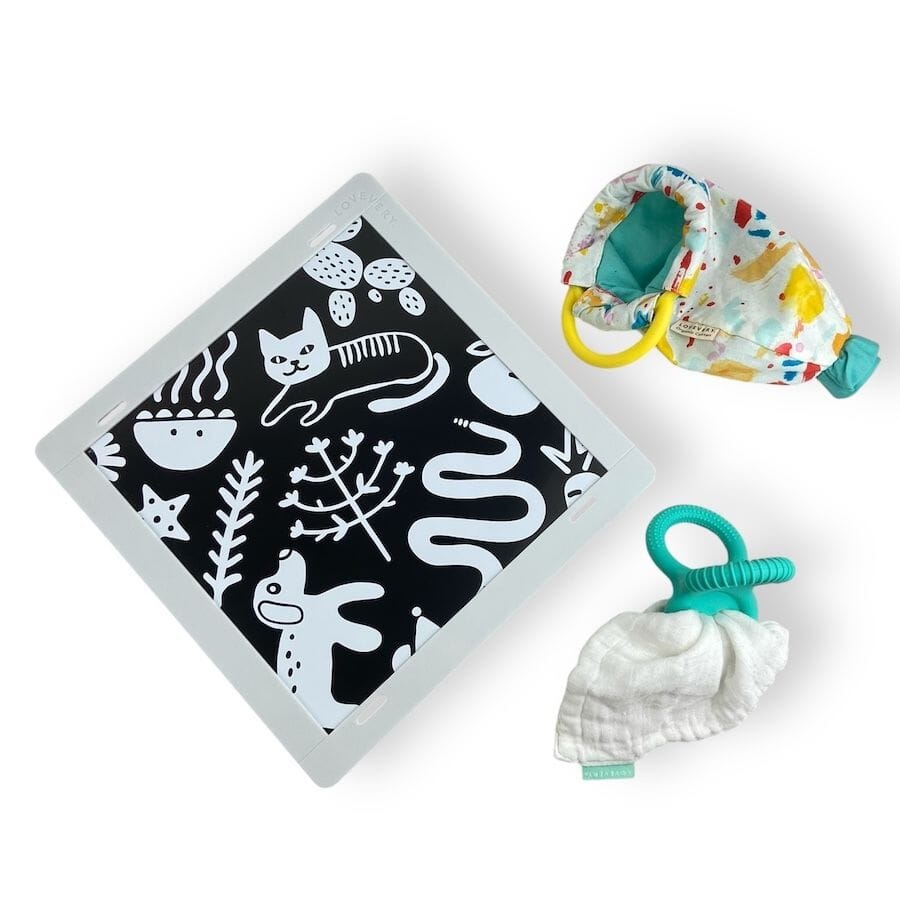 Toys from Lovevery's The Charmer Play Kit – TOYCYCLE