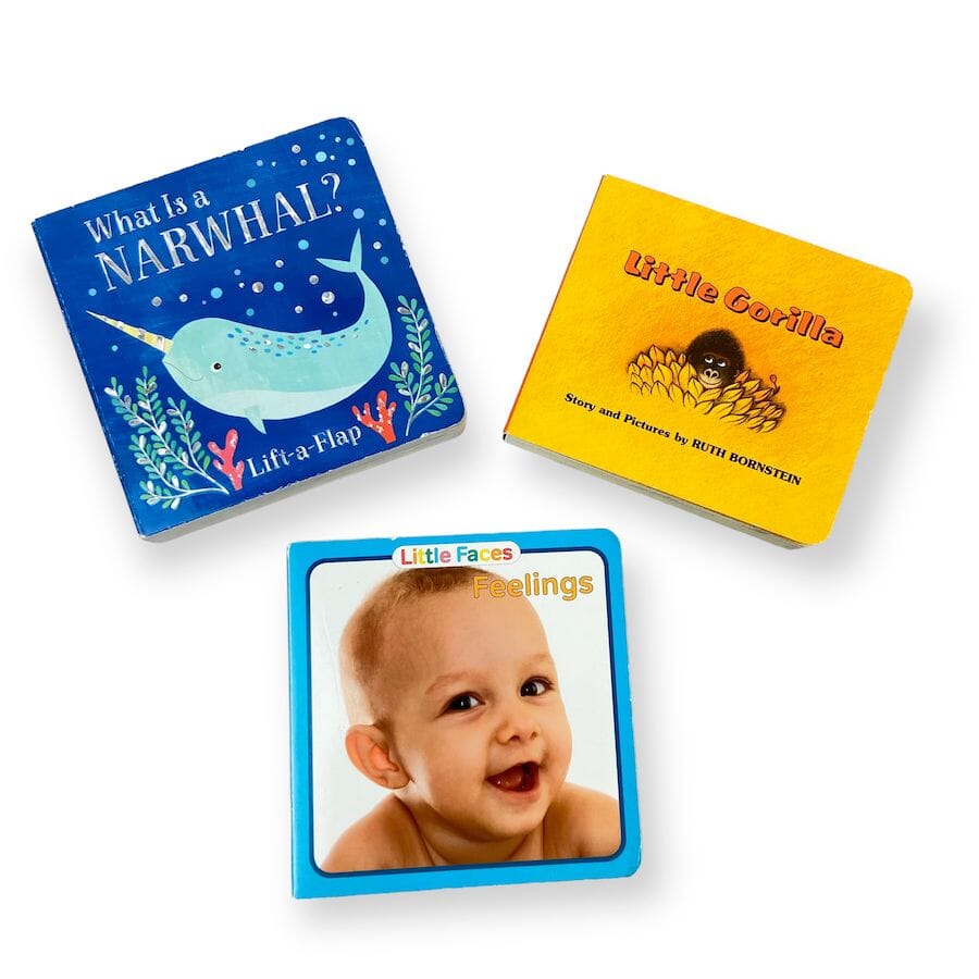 Mini Board Book Bundle – TOYCYCLE