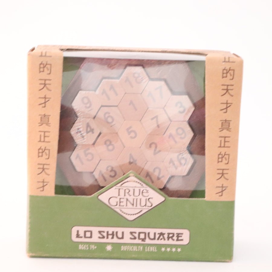 True Genius Lo Shu Square Brain Teaser Puzzle – TOYCYCLE
